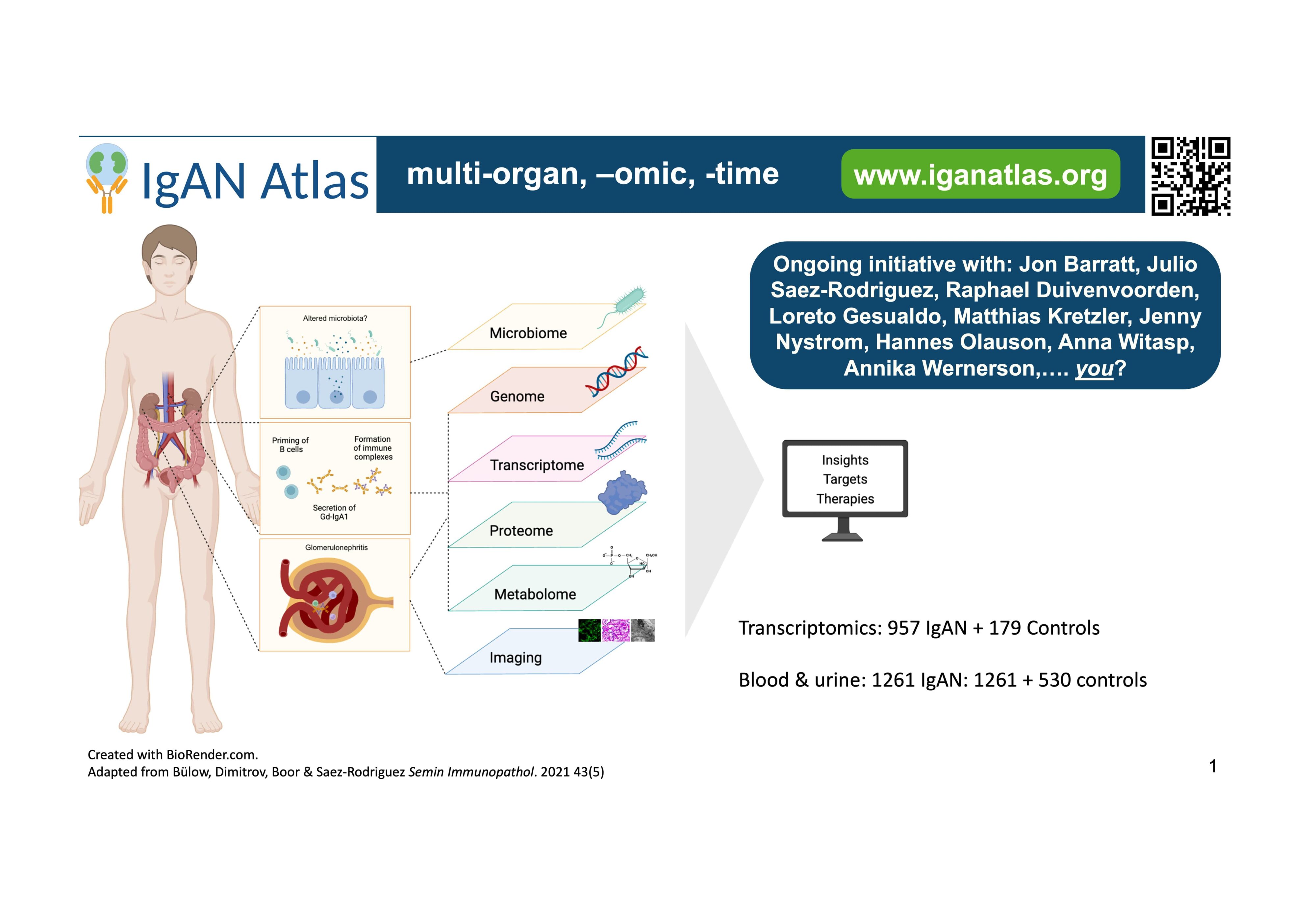 The IgAN Atlas - The International IgA Nephropathy Network